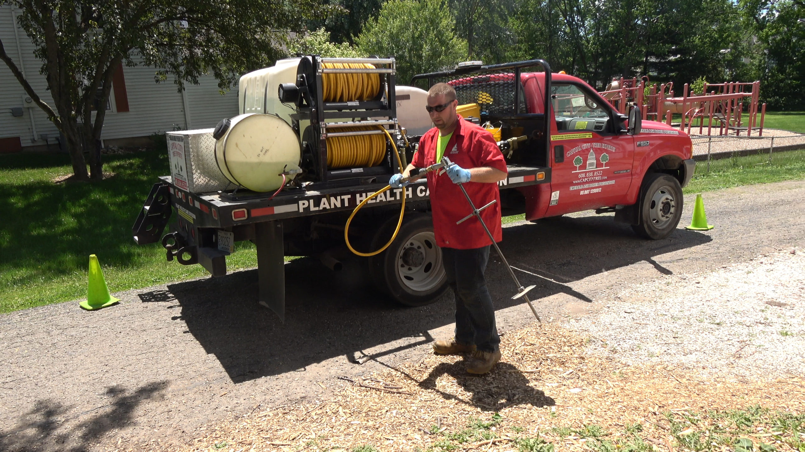 Magnolia Scale Wisconsin - Madison's #1 Tree Service Co.